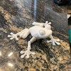 Cute Flexi Print-in-place Frog STL File for 3D Printing - Etsy