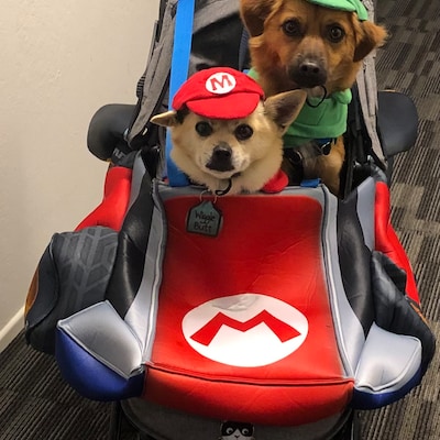 Mario Dog Costume, Mario Kart Costume, Halloween Dog Costume, Costume ...