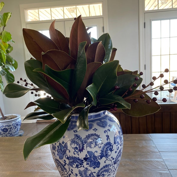 Fresh Cut Southern Magnolia Stems: Velvet Rust Tobacco Leaves, Florist ...