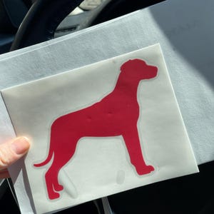 14 Point Star Shape Vinyl Decal Star Symbol Sticker - Etsy