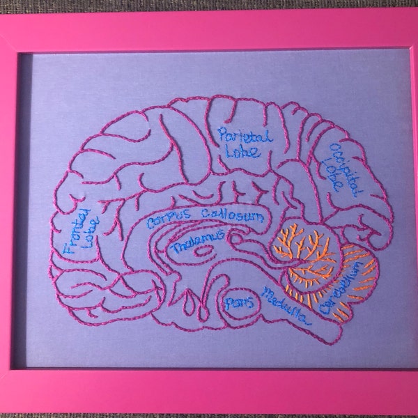 DIY Brain Embroidery Pattern, Brain Anatomy Embroidery Pattern ...
