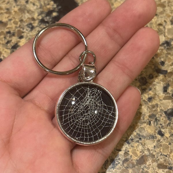 Real Spider Web Coffin Wooden Trinket Stash Box - Etsy