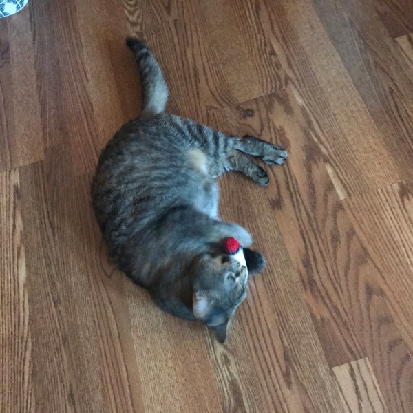 Crochet Catnip Cat Toy – Acrylic Yarn Kitty Joint, Cat Blunt - Etsy