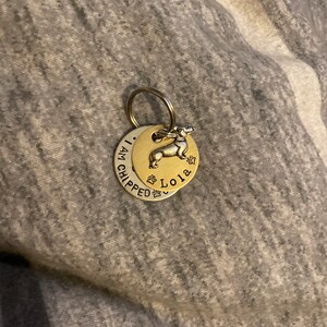 Dachshund Sausage Dog Hand Stamped Handmade Dog Tag poshtags Collar ...