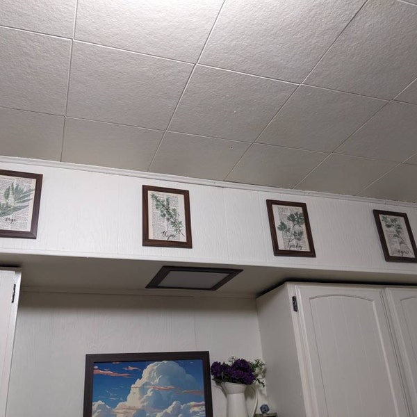 Bird cardinal Themed Dictionary Prints - Etsy