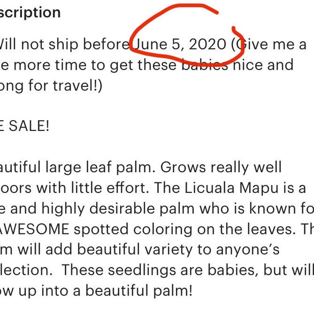 RootedKeyWest - Etsy