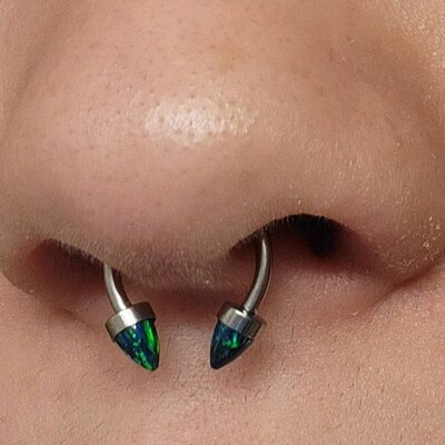 HALF GOLD / SILVER 4G, 5G, 6G, 7G, 8G, 10G, or 12G Anodized Astm F136 ...