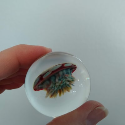 Glass Marble, Handmade Marbles, Contemporary Art Marble, Hider Marble ...