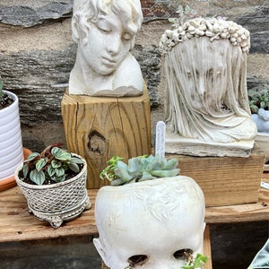 Diana Head & Neck Pot - Etsy