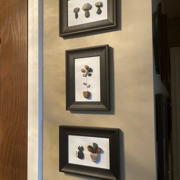 Michigan’s Fossil Identification Card / 5.5x7 Photo Fossil ID ...