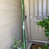 2" Fresh Cut Bamboo - Choose From 1 to 8 Feet Long - Etsy
