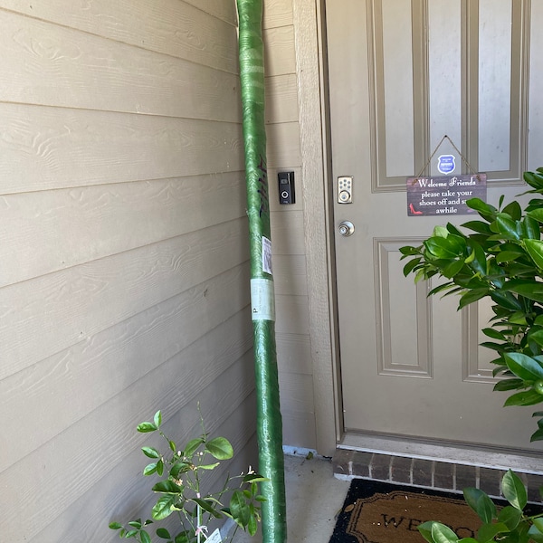 2" Fresh Cut Bamboo - Choose From 1 to 8 Feet Long - Etsy