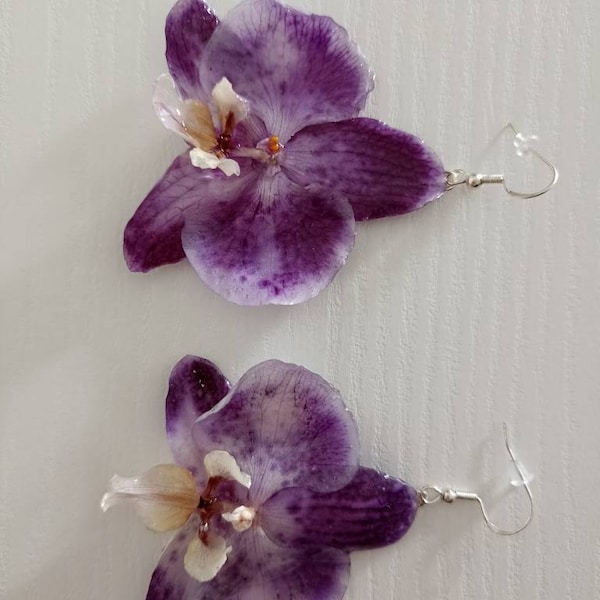 Real Wild Daisy Flower Earrings, Flower Epoxy Resin Earrings, Chamomile ...