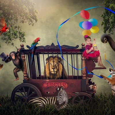 MIT Circus Podium Step Digital Overlay - Etsy