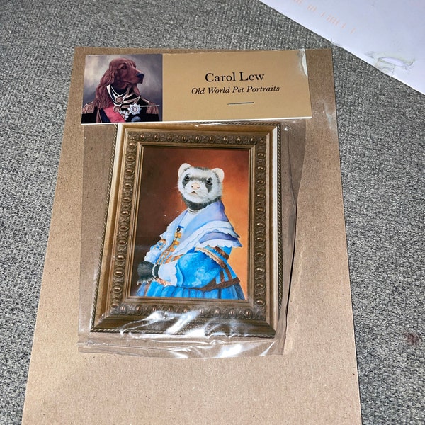 Ferret, Ferret Magnet, Refrigerator Magnet, Magnet, Ferret Clothes ...