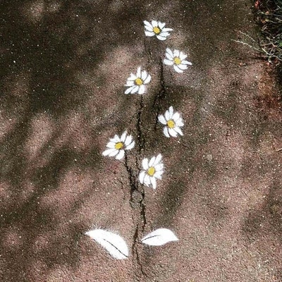 Queen Elizabeth Root Oil Orris Root Oil Hoodoo Oil Conjure Oil ...