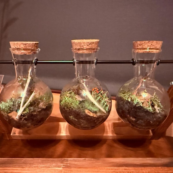 Terrarium Soil, Premium Ingredients, Re-sealable, Planting Soil, Moss ...