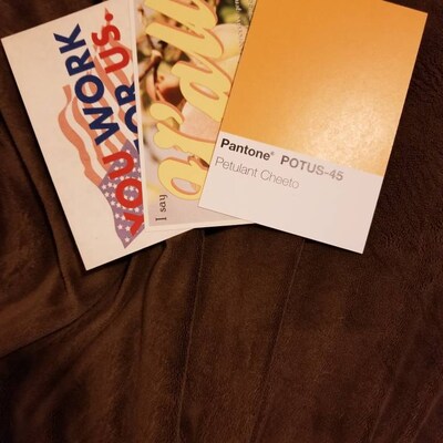 Legalize Human Composting Bumper Sticker - Etsy