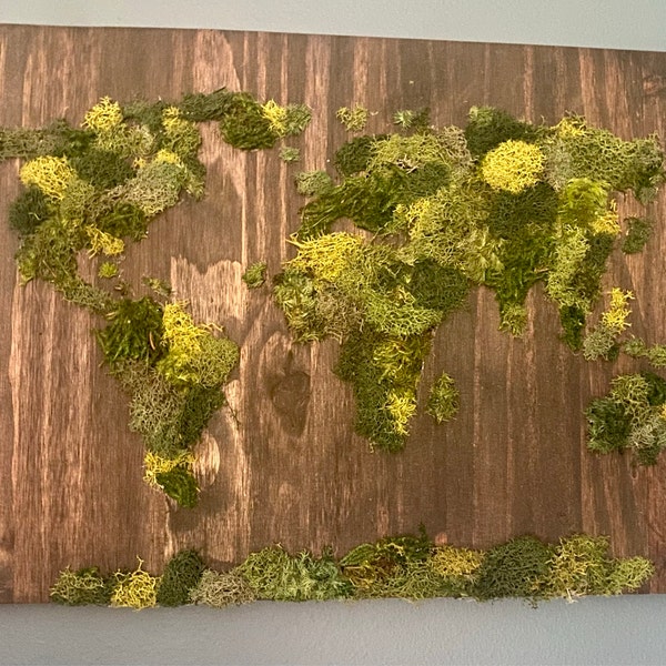 Moss Map, Preserved Moss, World Map, Nature Inside, Reindeer Moss, Cool ...