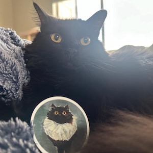 Raining Cats 12x20 Print, Internet Cats, Smudge, Lil Bub, Grumpy Cat ...