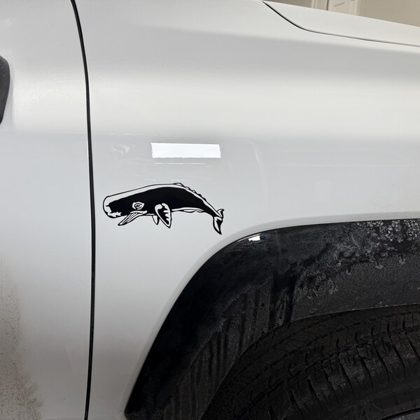 TYRANNOSAURUS REX Vinyl Decal Sticker. Window, Wall, Car, Truck, Bumper ...