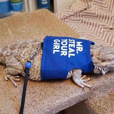 Bearded Dragon Leash, Bearded Dragon Harness, Lizard Leash, Lizard ...