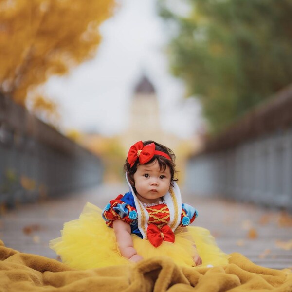 Princess Dress for Baby & Toddler - Toddler Tutu Dress - Girl Princess ...