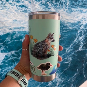 Channel Island Fox Weatherproof Vinyl Sticker With Transparent Edges - Etsy