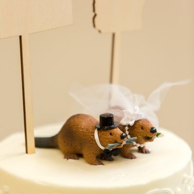 Beaver-wedding-bride-groom-unique-animal-beaver Dam-rustic-funny-unique ...