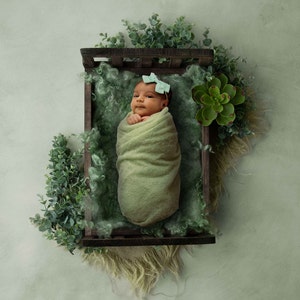 Succulent Backdrop, Succulent Balloon Arch, Printable Backdrop, Cake ...