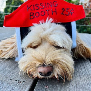 Doodoo Poop Emoji Flat Pet Costume Hat in Soft Brown Felt With - Etsy