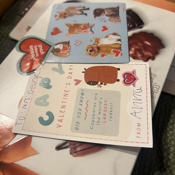 Printable Capybara Facts Valentine's Day Cards | Classroom Valentine's ...