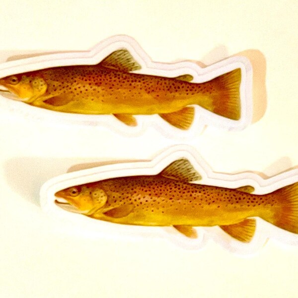 Muskie Decal Muskie Vinyl Decal Muskie Sticker Fish Sticker Fish Decal ...