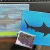 Make Yer Own Shark Art Kit Reef Shark - 8x10" - Etsy