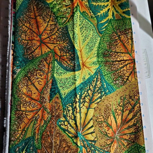 Field Guide-to Palette, Multi, Curiosity 51957D-X, Macia Derse ...