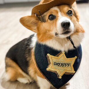 20 Song Birds Machine Embroidery Designs Bird Embroidery - Etsy