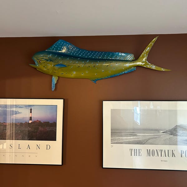 Redfish Fish Mount - 40 Inches - Half Mount - Etsy