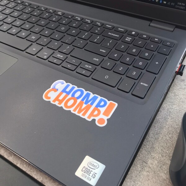 Seashell Greeting Cards-watercolor Beach Cards-beach Note Cards-shell ...