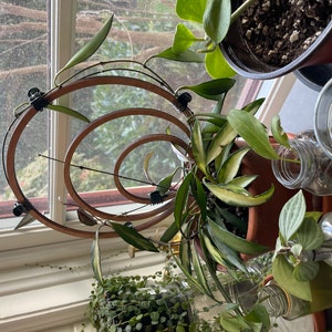 Triple Hoop Houseplant Trellis 2 Sizes Wooden Round, Endless Circle ...