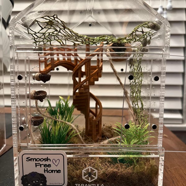 Magnetic Corner Bridge Jumping Spider Ledge / Perch / Non Magnetic ...