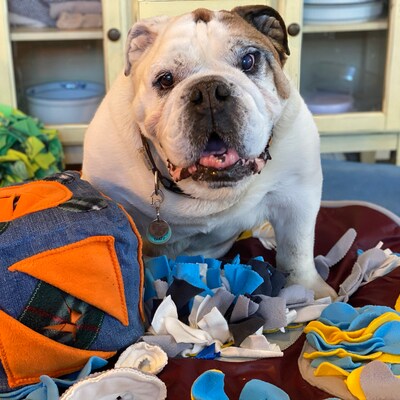 Interactive Dog and Cat Toys Playing Dog and Cat Mat Handmade Pet Play ...