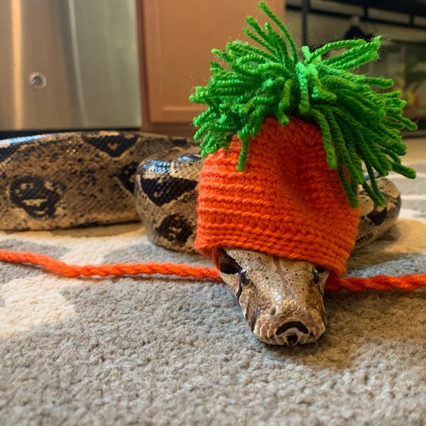 Tiny Reptile Hat, Hat for Hamster, Small Lizard Hat, Clothes for Pets ...