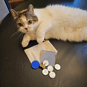 Bedikat Chametz Kit for Passover Chameitz Search & Removal for Pesach ...