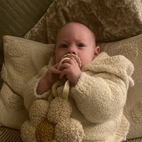 Daisy Dummy Comforters, Dummy Clips, Teddy Fleece Daisys, Daisy ...