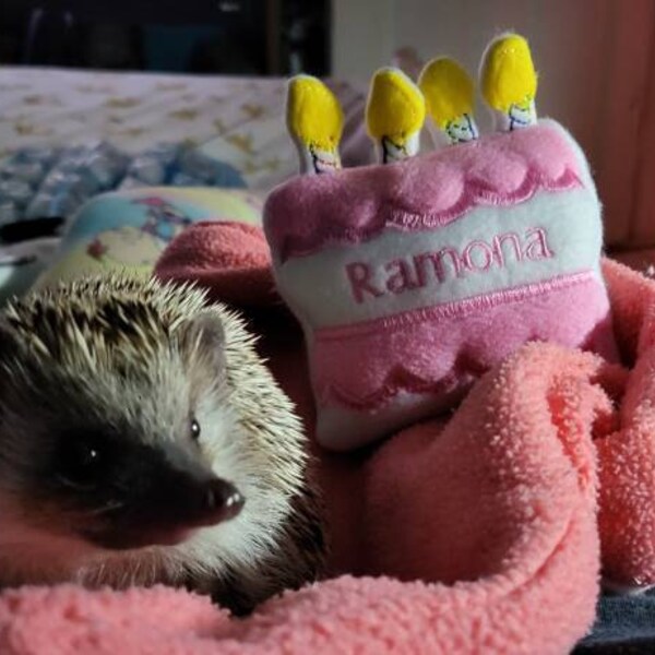 Ball Python Pastel Watercolor Snake A Plushie Stuffed Animal Friend ...