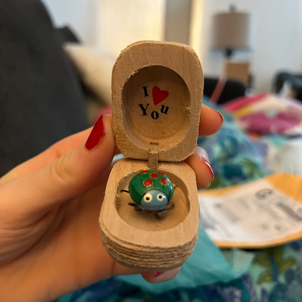 Ladybug in a Wooden Box Cute Wiggle Leg “I Love You” Valentine ...