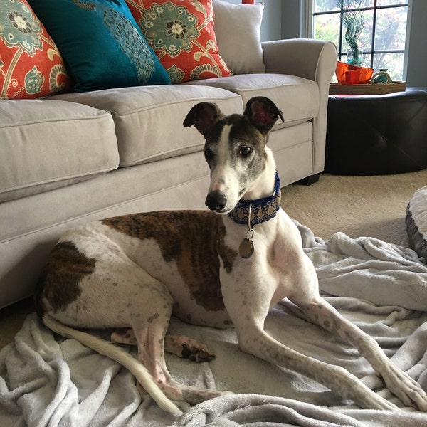Aeriedesigns Quick Easy Greyhound SWEATER in a Weekend Crochet PATTERN ...