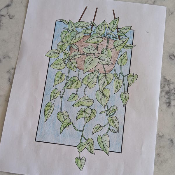 Pothos Plant Coloring Page - Etsy