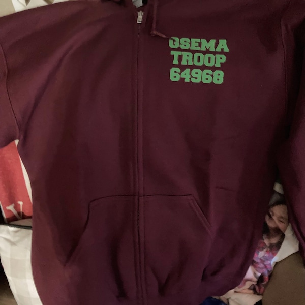 Evolution of Programmer Hoodie, Born to Coding Hoodie, Funny Programmer ...