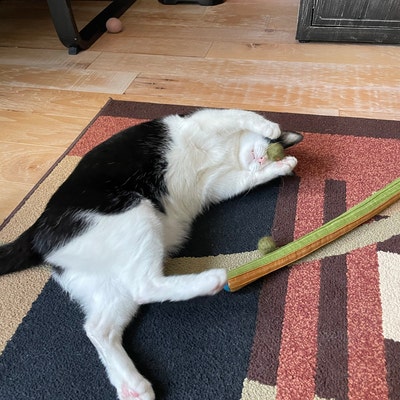 Custom Cat Toy Bundle - Etsy